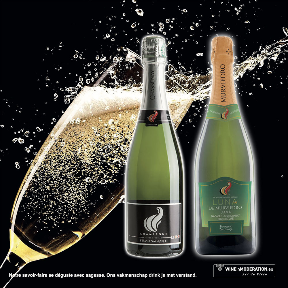 Het ideale aperitief! | The Mastercooks of Belgium